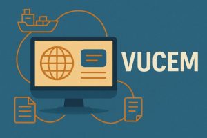 Vucem - Guía Completa de Acceso - Our Past History